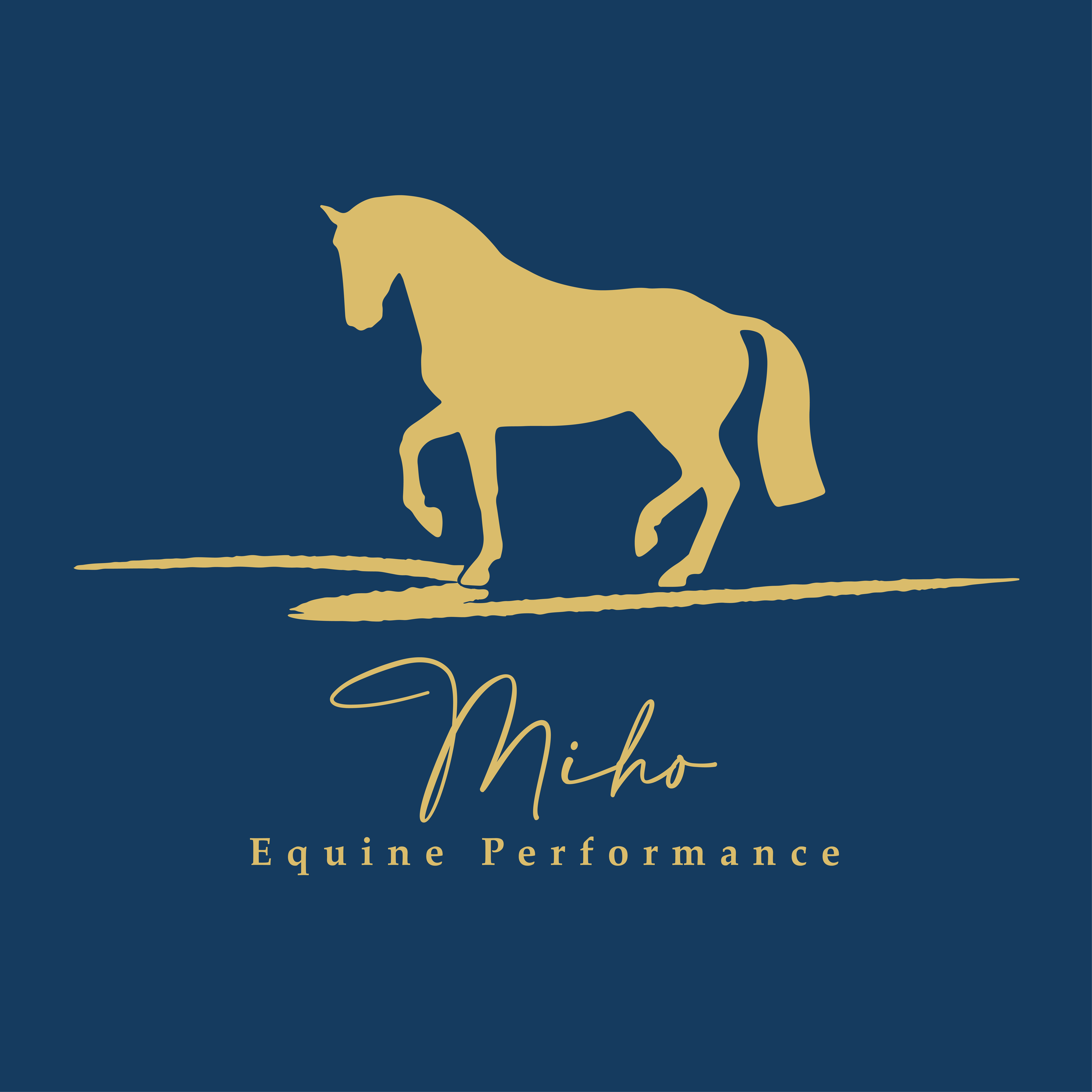 オンライン勉強会 | Miho Equine Performance